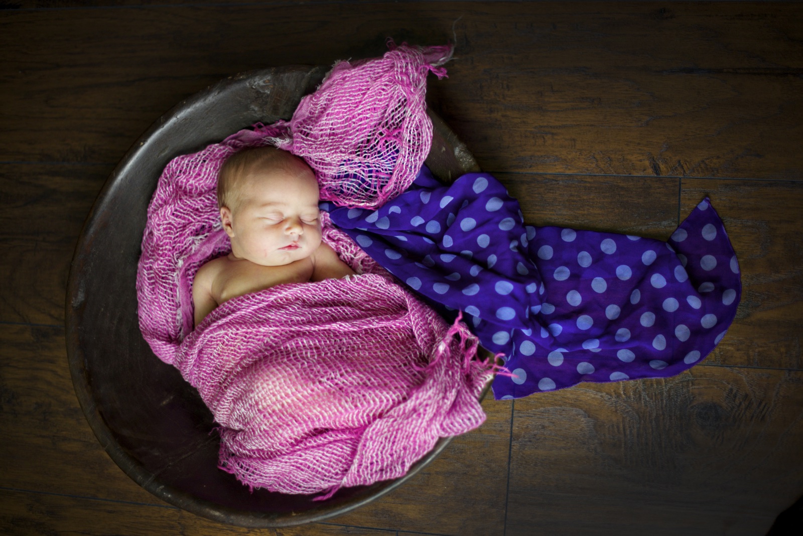 Babies & Bellies Photography Info and Pricing - Creative Look Studios